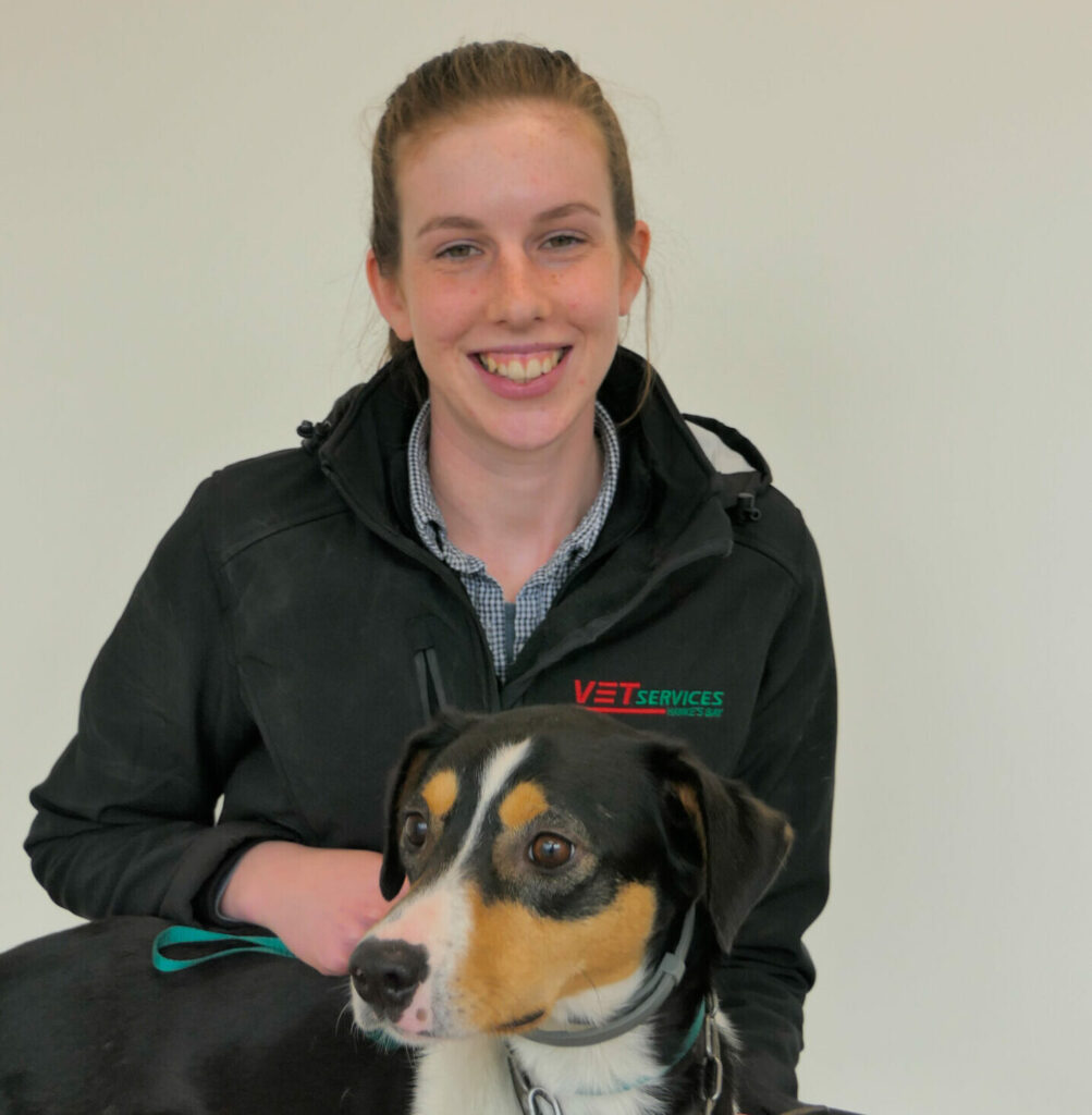 Waipukurau Team – Vet Services Hawke's Bay