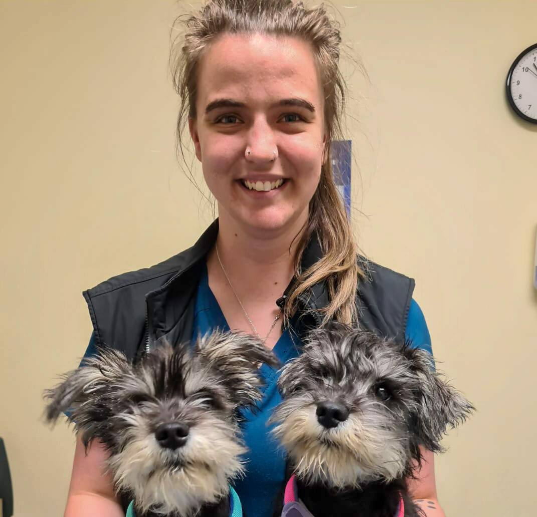 Napier Team – Vet Services Hawke's Bay