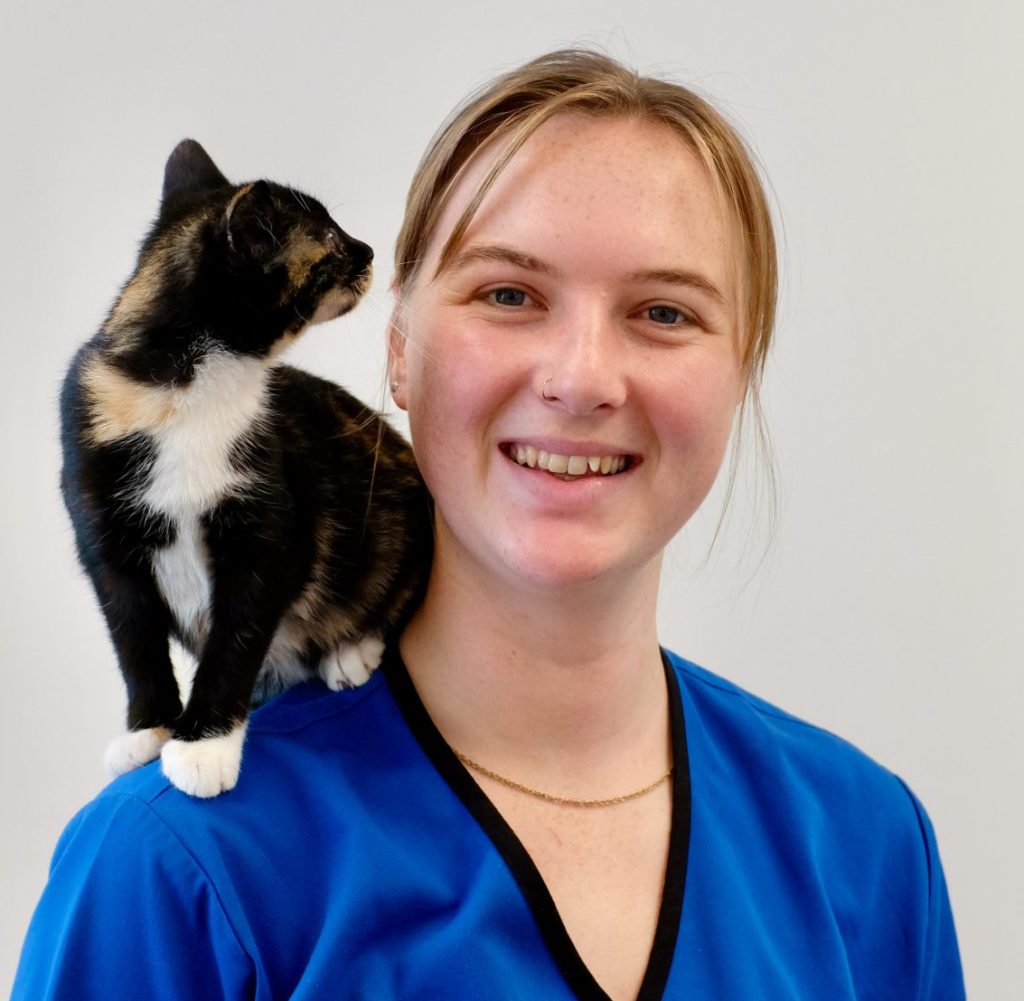 Napier Team – Vet Services Hawke's Bay