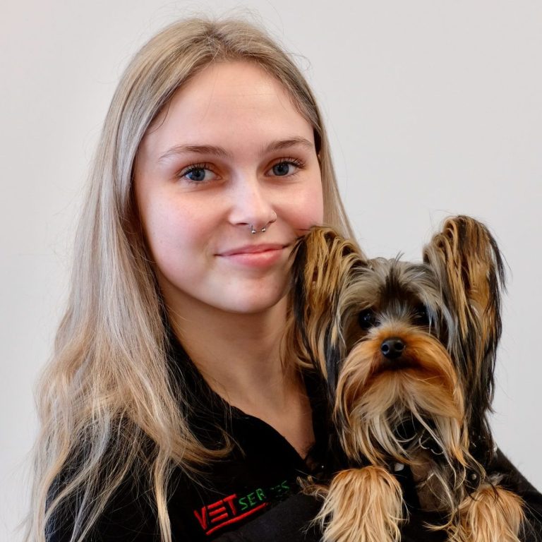 Napier Team – Vet Services Hawke's Bay