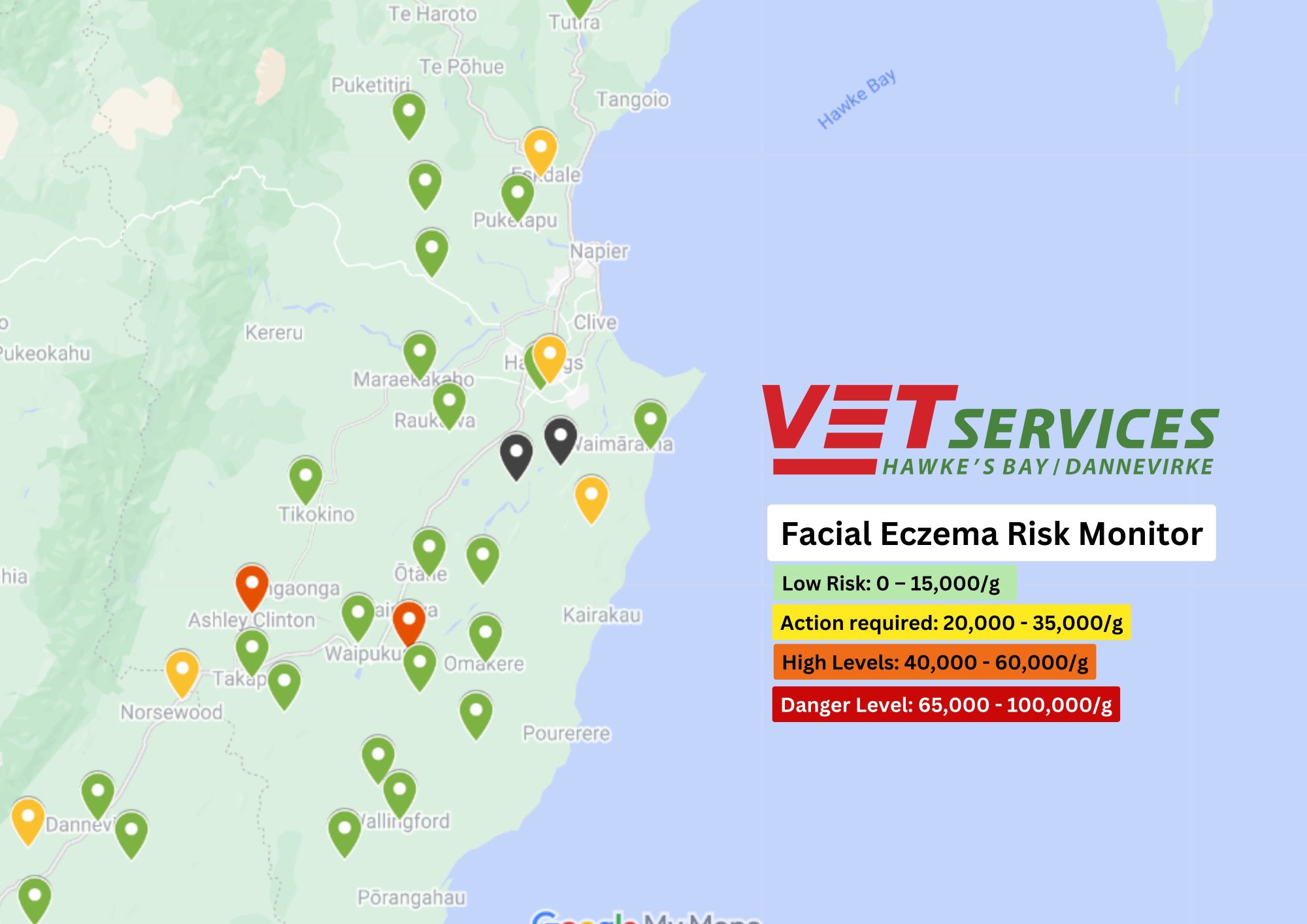Meet the Teams – Vet Services Hawke's Bay