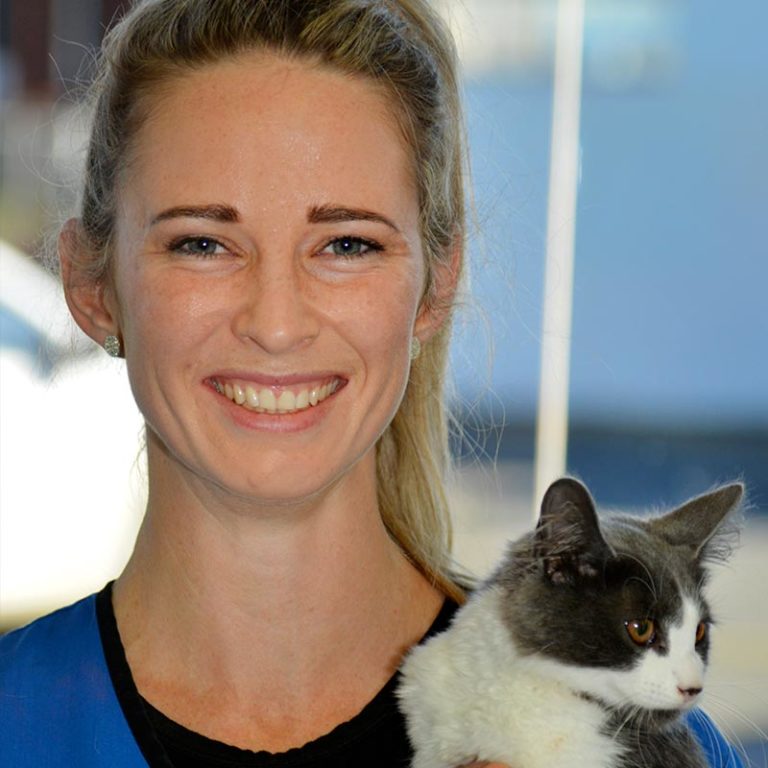 Napier Team – Vet Services Hawke's Bay