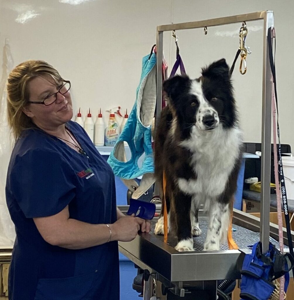 Waipukurau Team – Vet Services Hawke's Bay