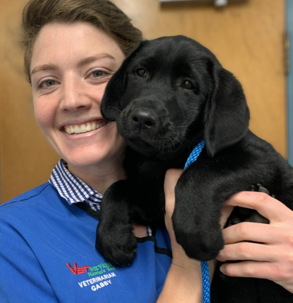 Waipukurau Team – Vet Services Hawke's Bay