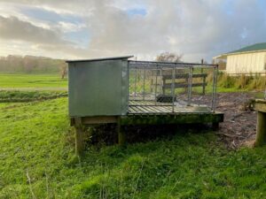 Working Dog Kennels – Vet Services Hawke's Bay