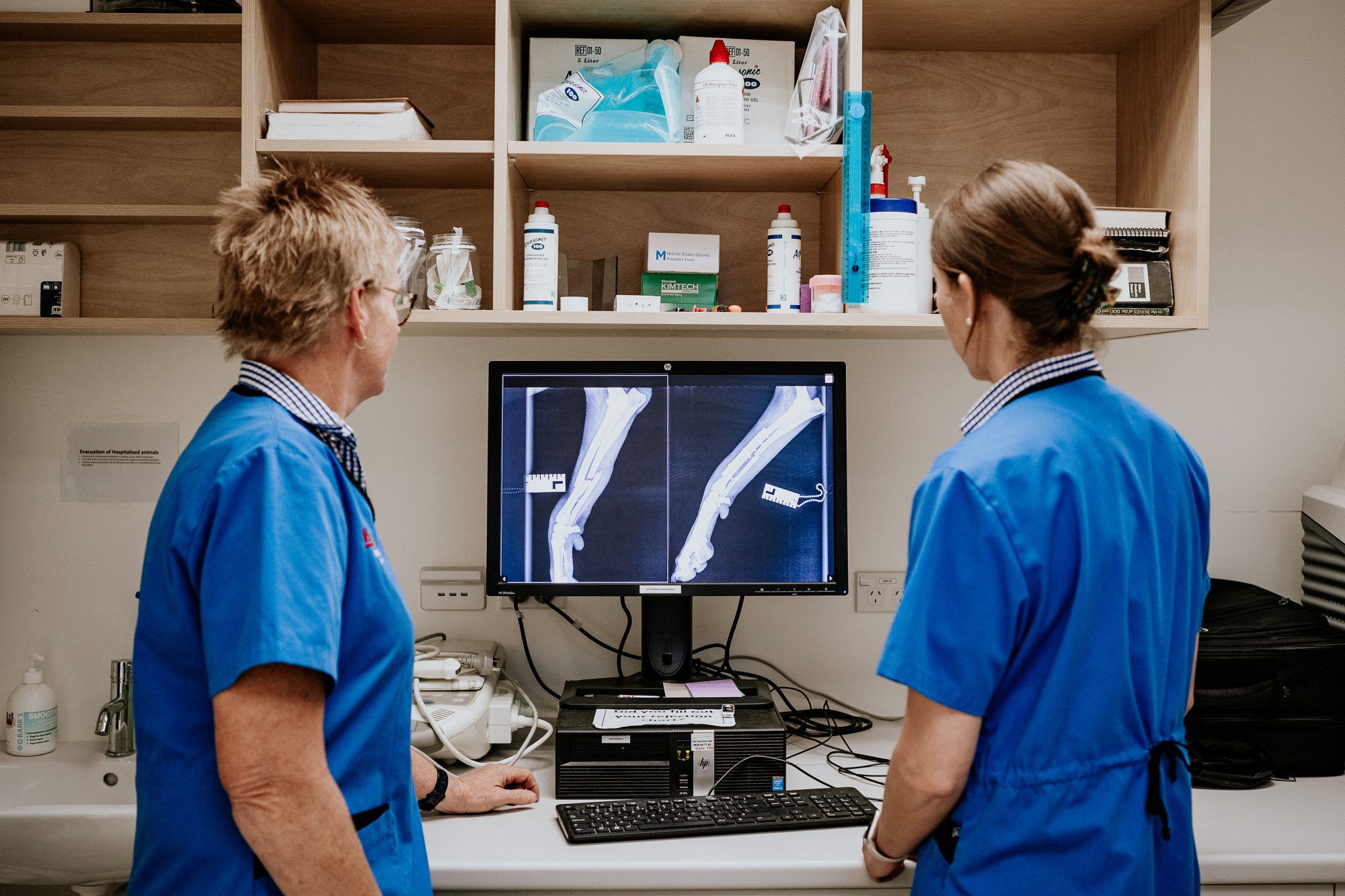 About Us – Vet Services Hawke's Bay