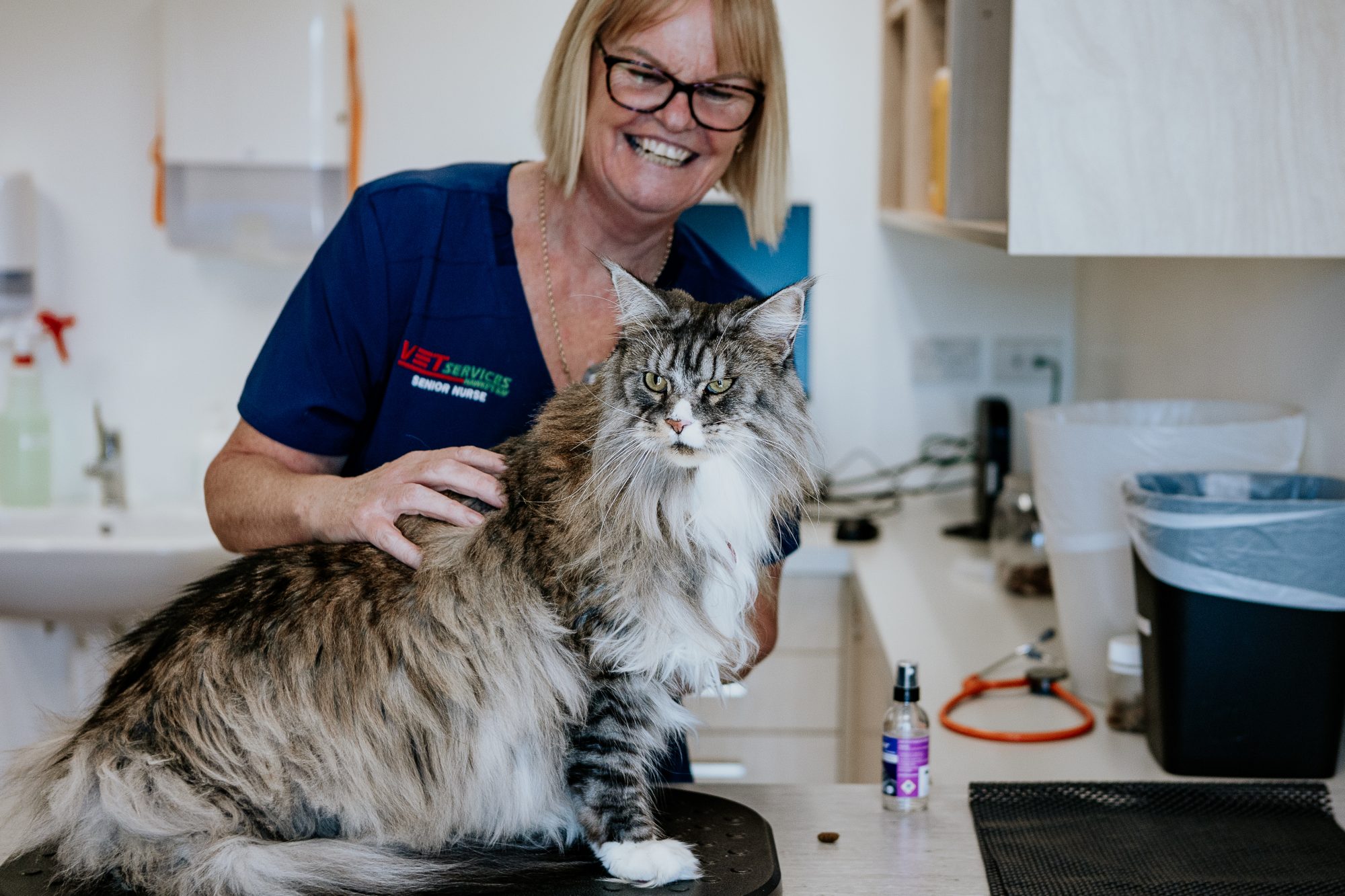 Wellness Programmes – Vet Services Hawke's Bay