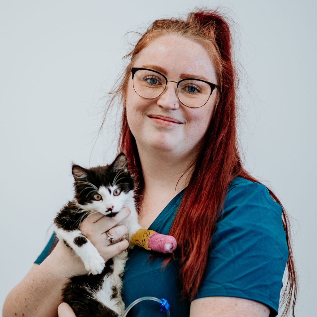 Napier Team – Vet Services Hawke's Bay