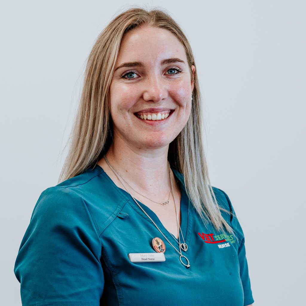 Napier Team – Vet Services Hawke's Bay