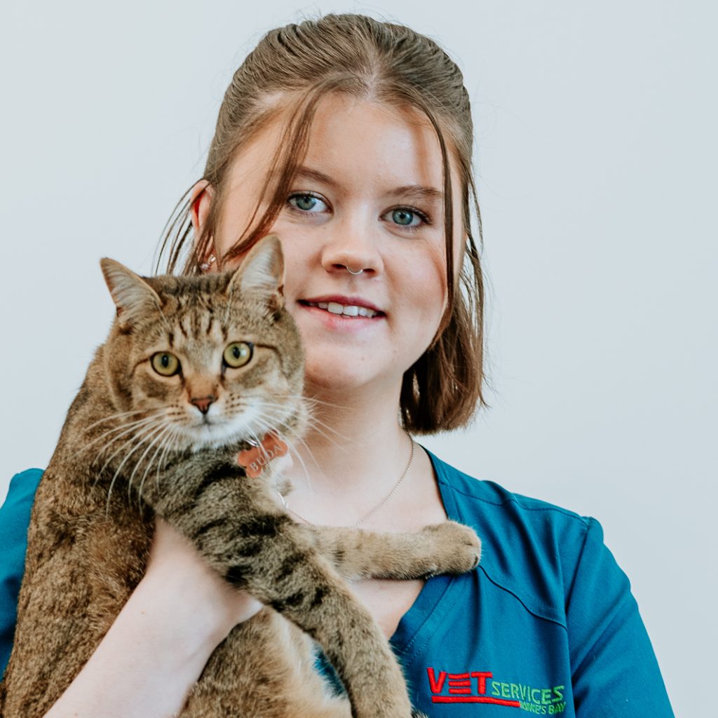 Napier Team – Vet Services Hawke's Bay