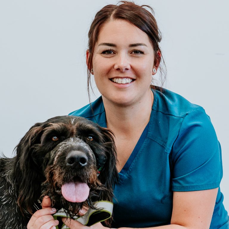 Napier Team – Vet Services Hawke's Bay