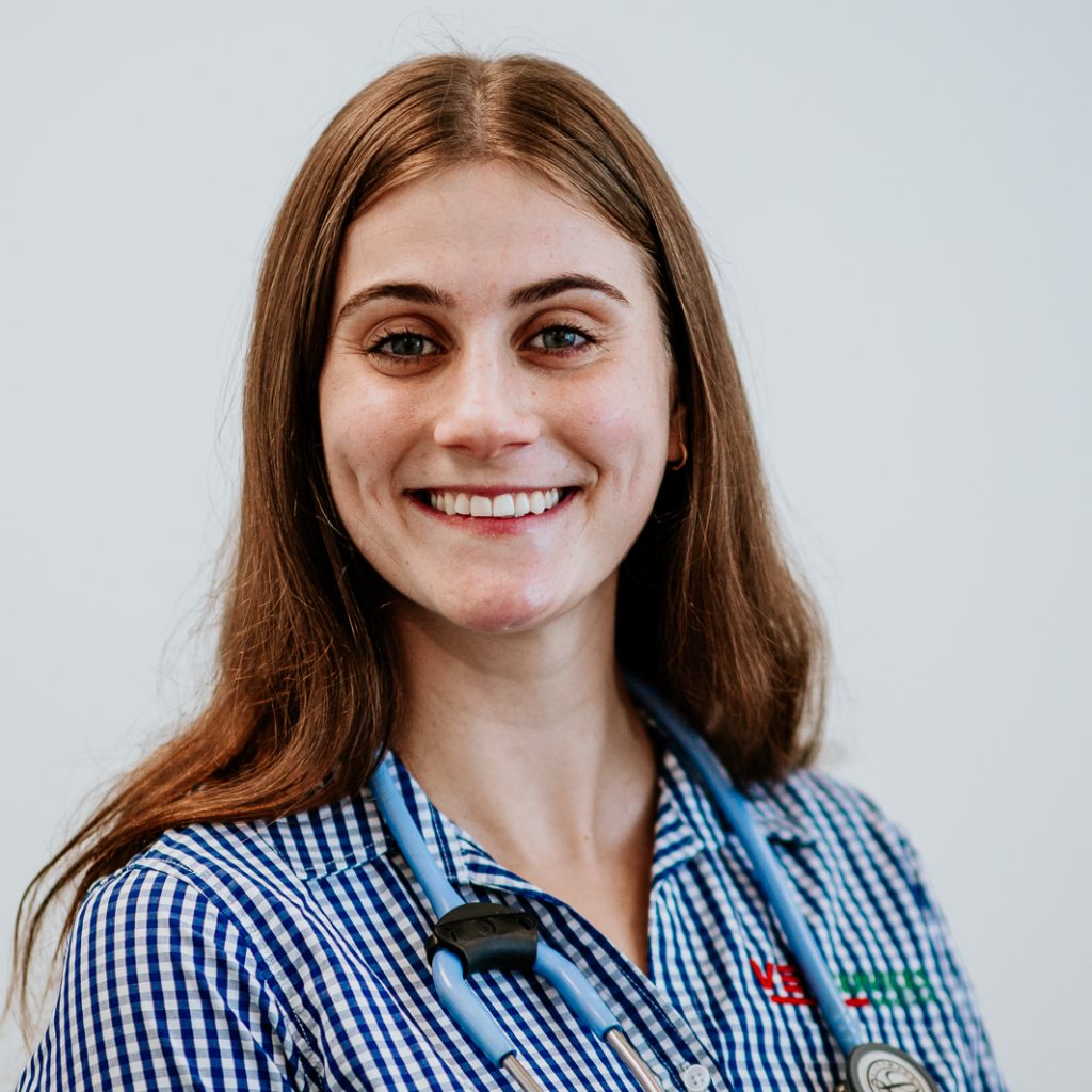 Napier Team – Vet Services Hawke's Bay