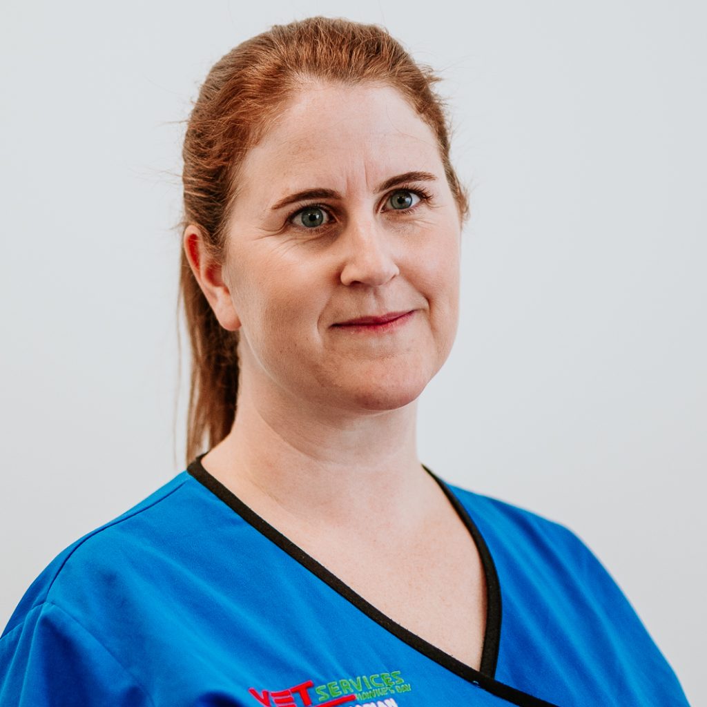 Napier Team – Vet Services Hawke's Bay