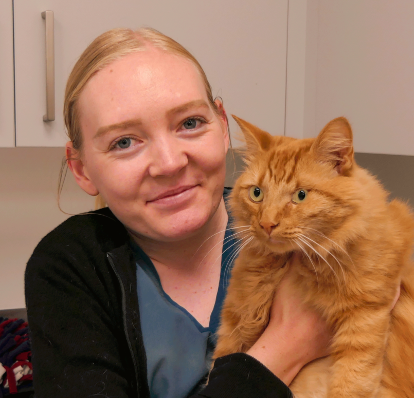 Napier Team – Vet Services Hawke's Bay