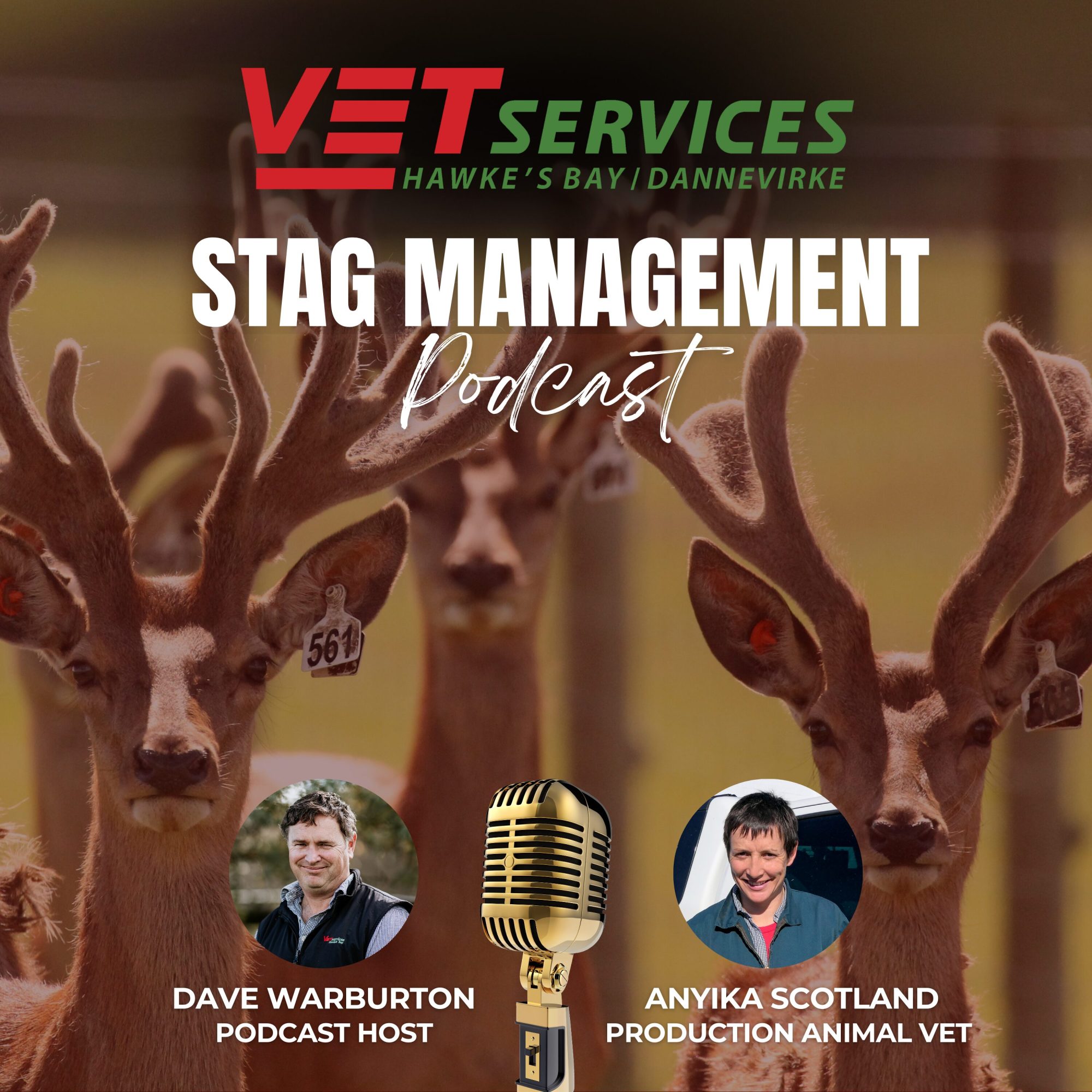 Podcast – Vet Services Hawke's Bay