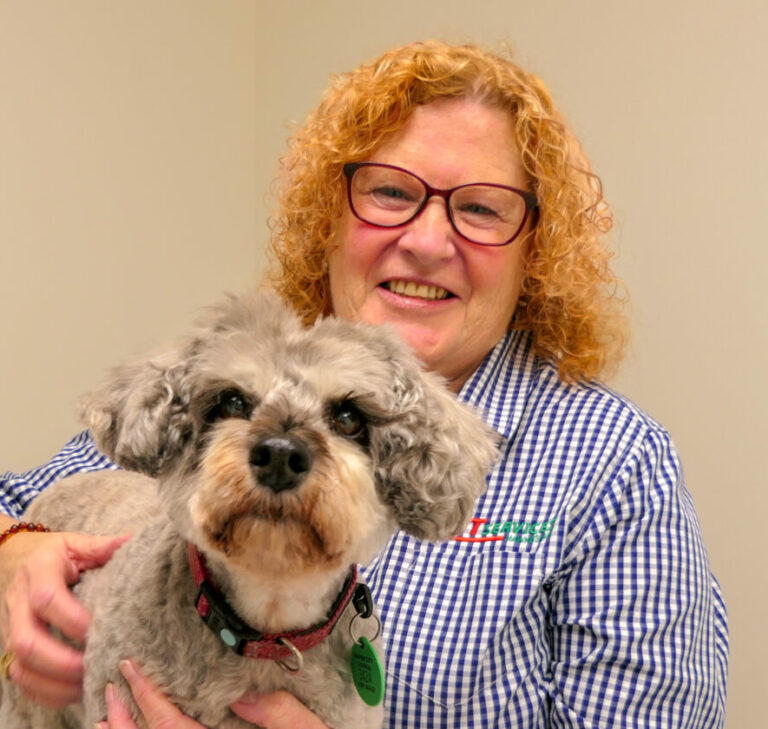 Napier Team – Vet Services Hawke's Bay