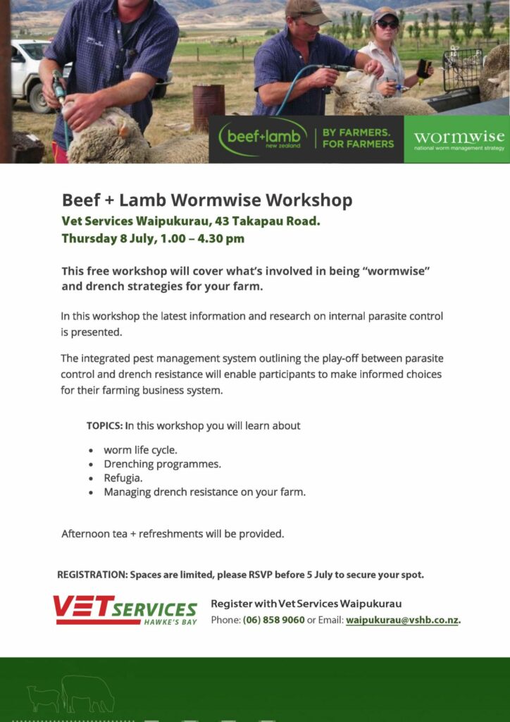 Beef + Lamb Wormwise Workshops – Vet Services Hawke's Bay
