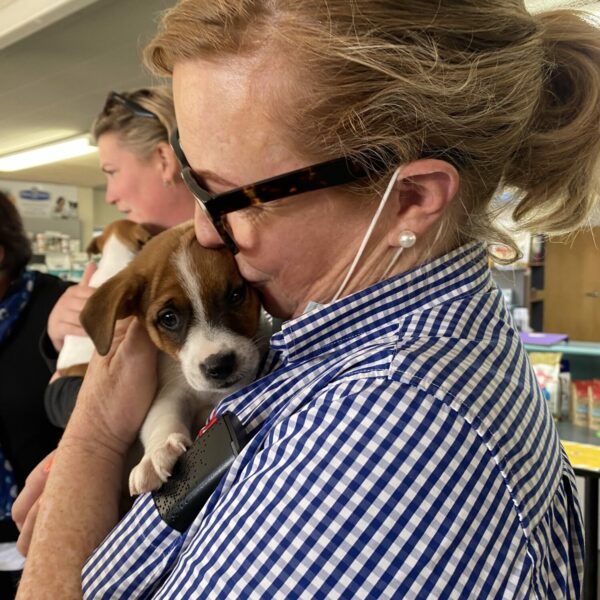 Vet Services Hawke's Bay – Our Animals, Our Community