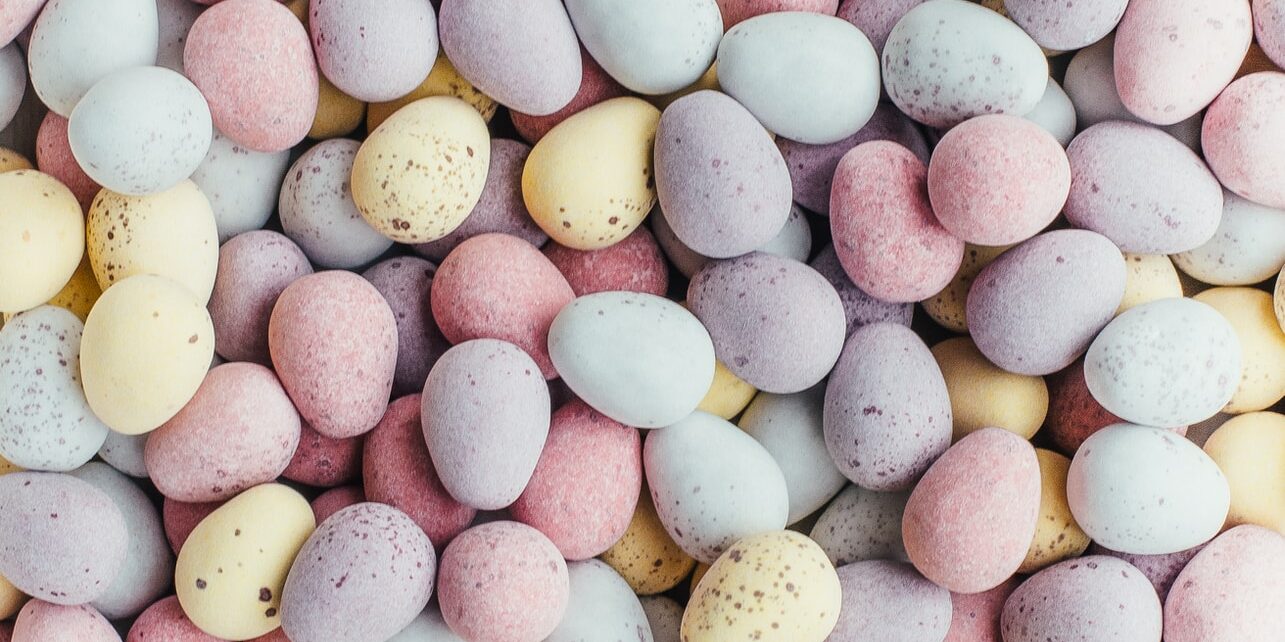 🐰🐣 KEEPING YOUR PETS SAFE THIS EASTER 🐣🐰 – Vet Services Hawke's Bay