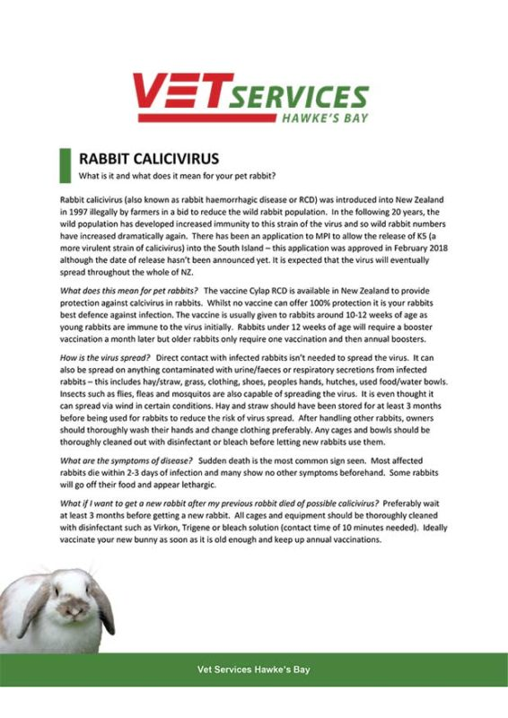 Pocket & Exotic Pets – Vet Services Hawke's Bay